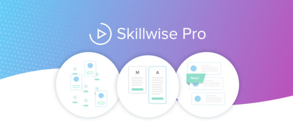 Launches Skillwise Pro: Online Course Bundle Subscriptions